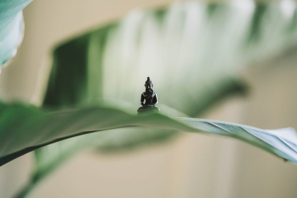 The 7 Steps To Living A Zen Lifestyle | Blys